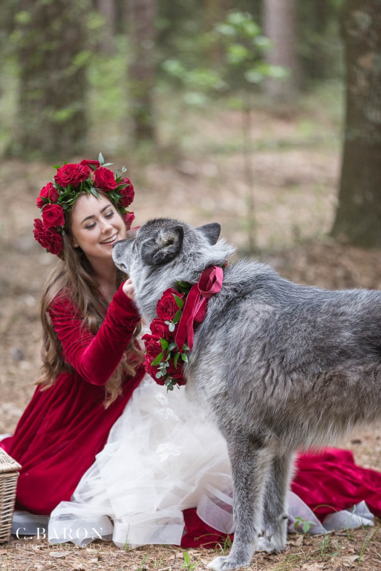 Houston Wedding Photographer | Texas Wolfdog Project | Little Red ...