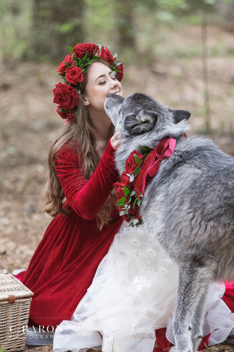 Houston Wedding Photographer | Texas Wolfdog Project | Little Red ...